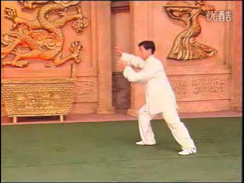 Chen style Tai Chi Tui Shou(Push Hand) tutorial 2/6 - YouTube