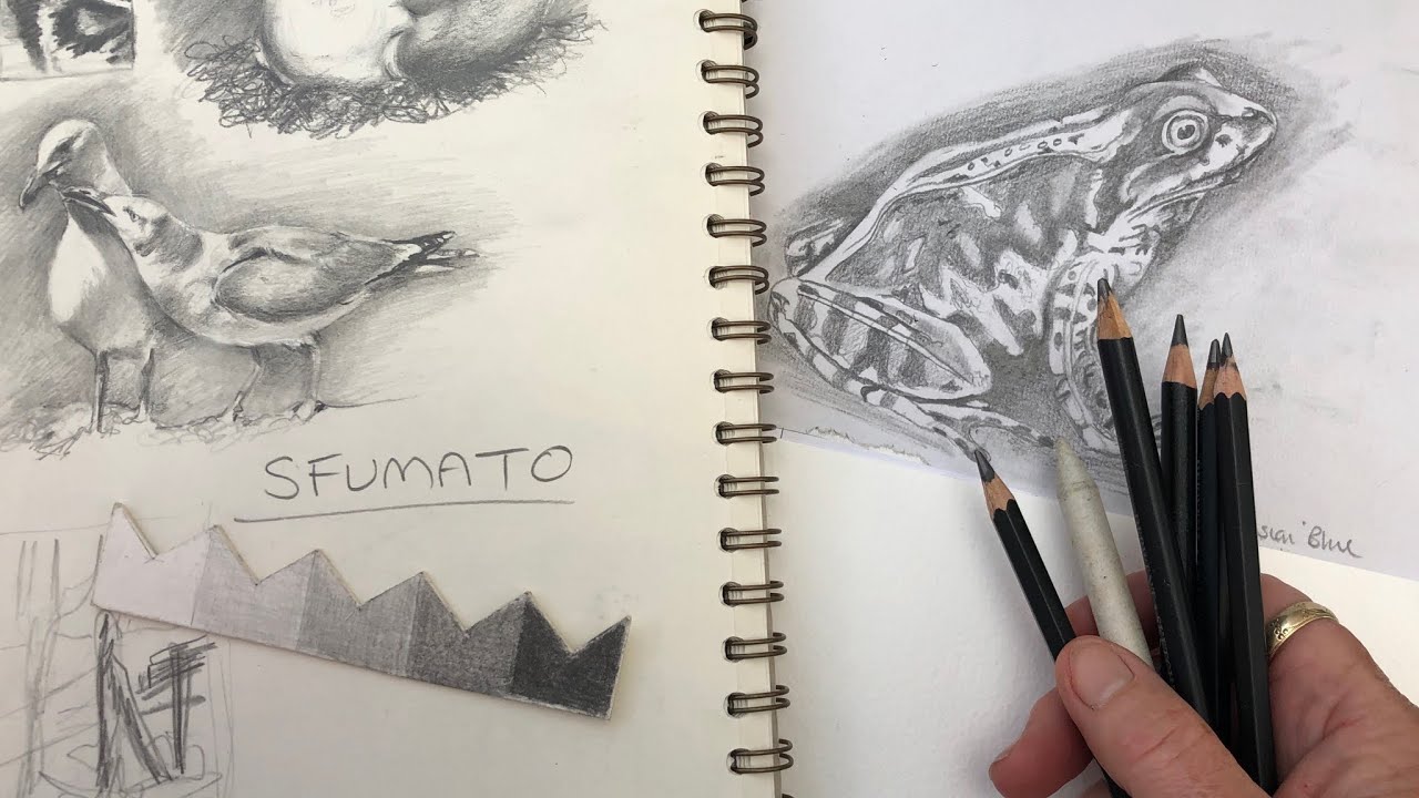 HOW TO DRAW for those that think they can’t FREE DRAWING COURSE No.10 ...