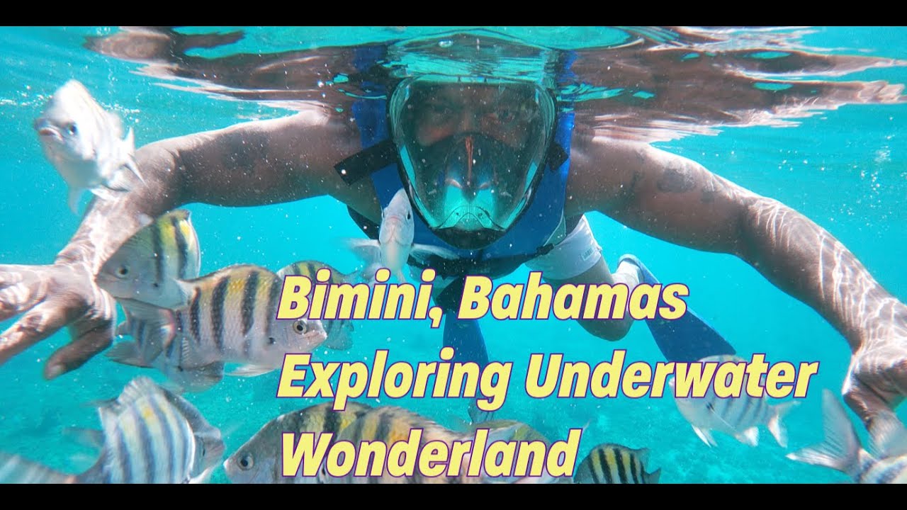 Journey into the Deep: Exploring Underwater Wonderland of Bimini ...