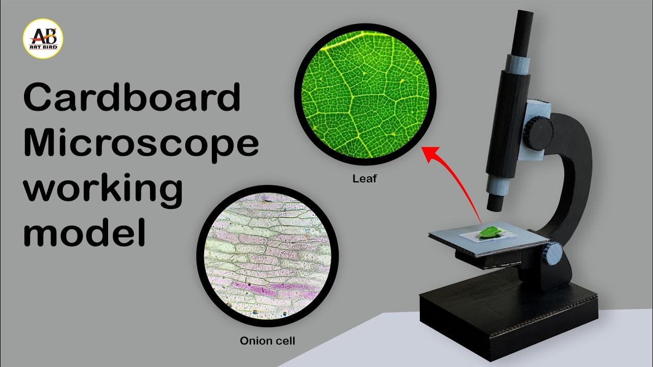 Microscope working model for school project - YouTube