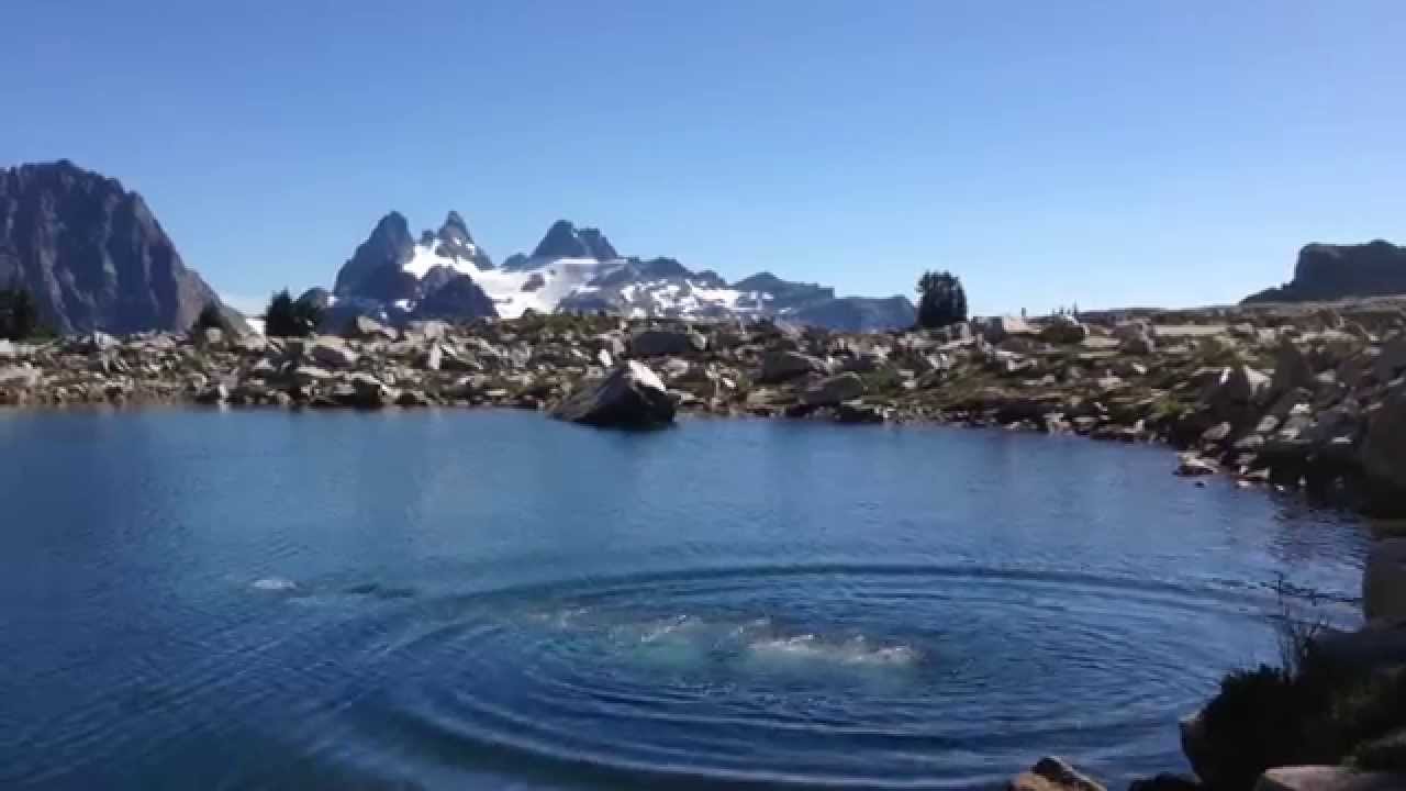 Swimming butterfly in an alpine lake - YouTube