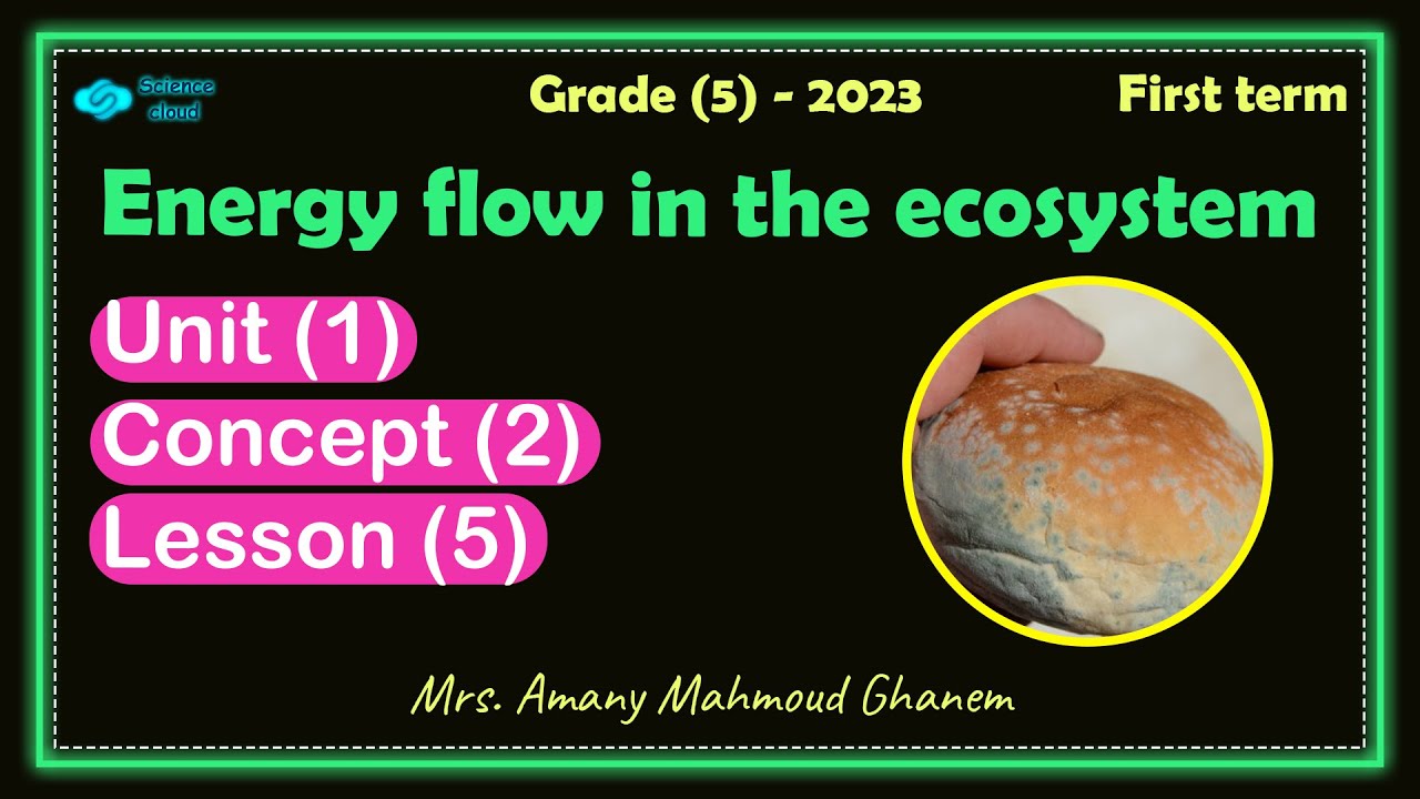 Grade(5) | [11] | Unit(1) - Concept (2) - Lesson (5): Decomposers - YouTube