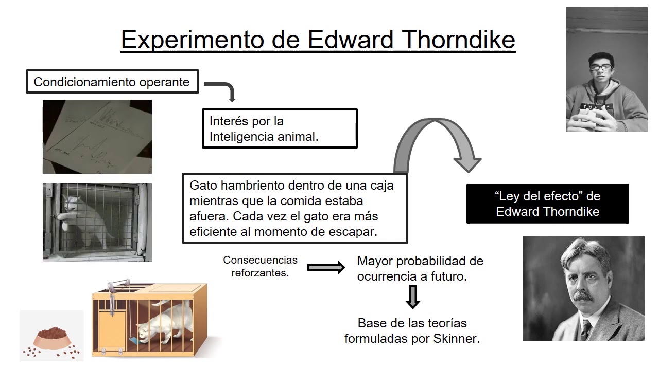 Introducción a la psicología - Edward Lee Thorndike - Ley del efecto ...