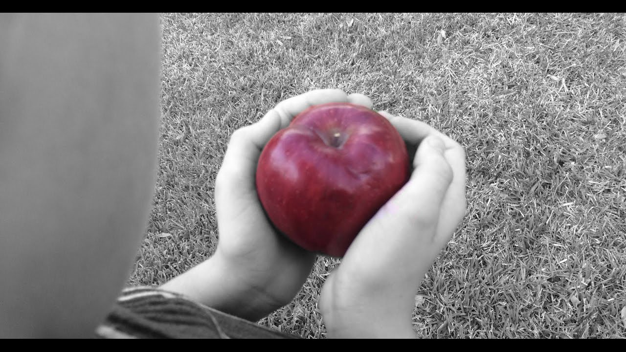 The Giver (student trailer) - YouTube