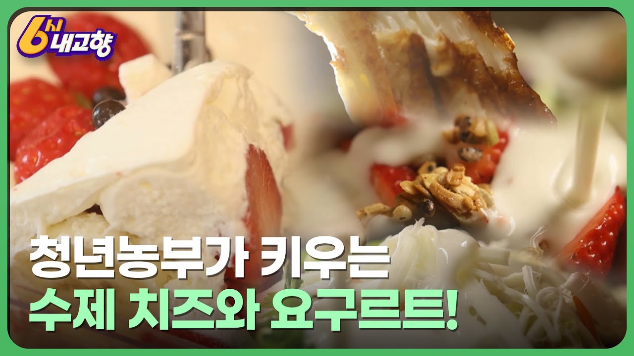 청년농부가 키우는 수제 치즈와 요구르트! - 전북특별자치도 순창 | KBS 6시 내고향 240404 - YouTube