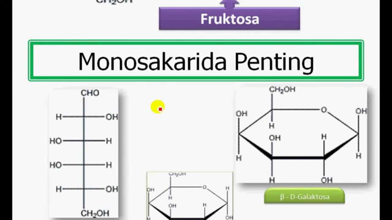 monosakarida - YouTube