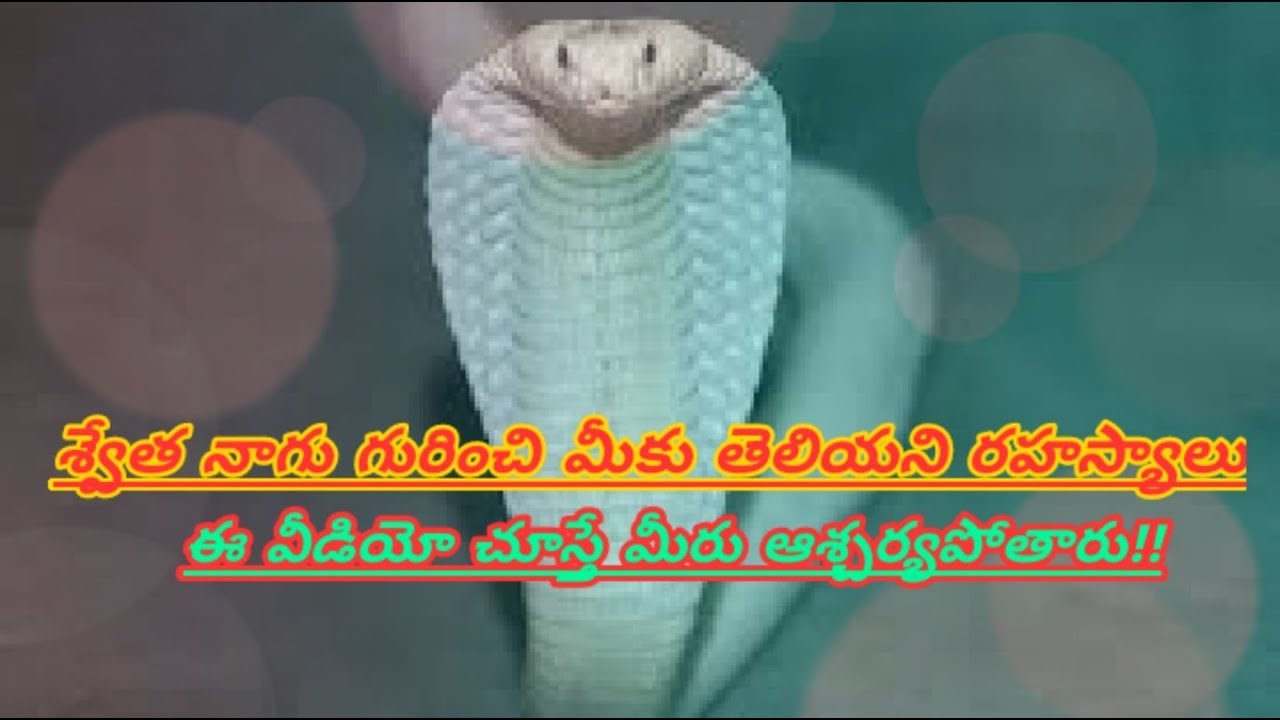 About swetha naagu in telugu - YouTube