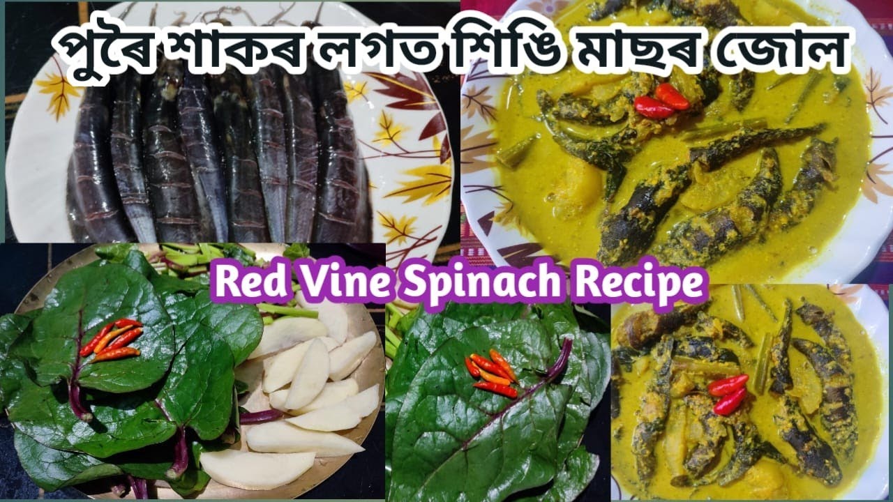 পূৰৈ শাকৰ লগত শিঙি মাছৰ জোল👌Puroi xaak recipe Assamese 👌 - YouTube