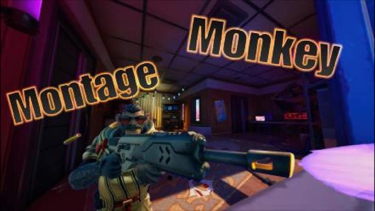 Monkey Montage - YouTube
