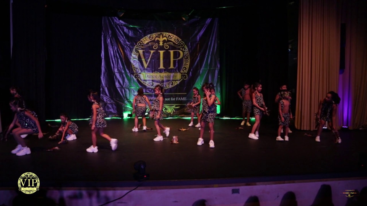 VIP concert 2019 13 - YouTube