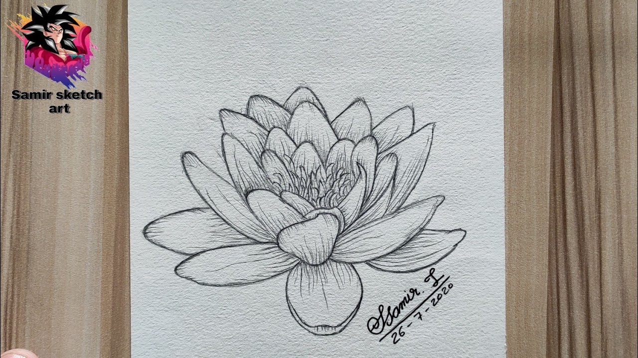 How to draw beautiful flower Lotus with pencil || easy Lotus sketch ...