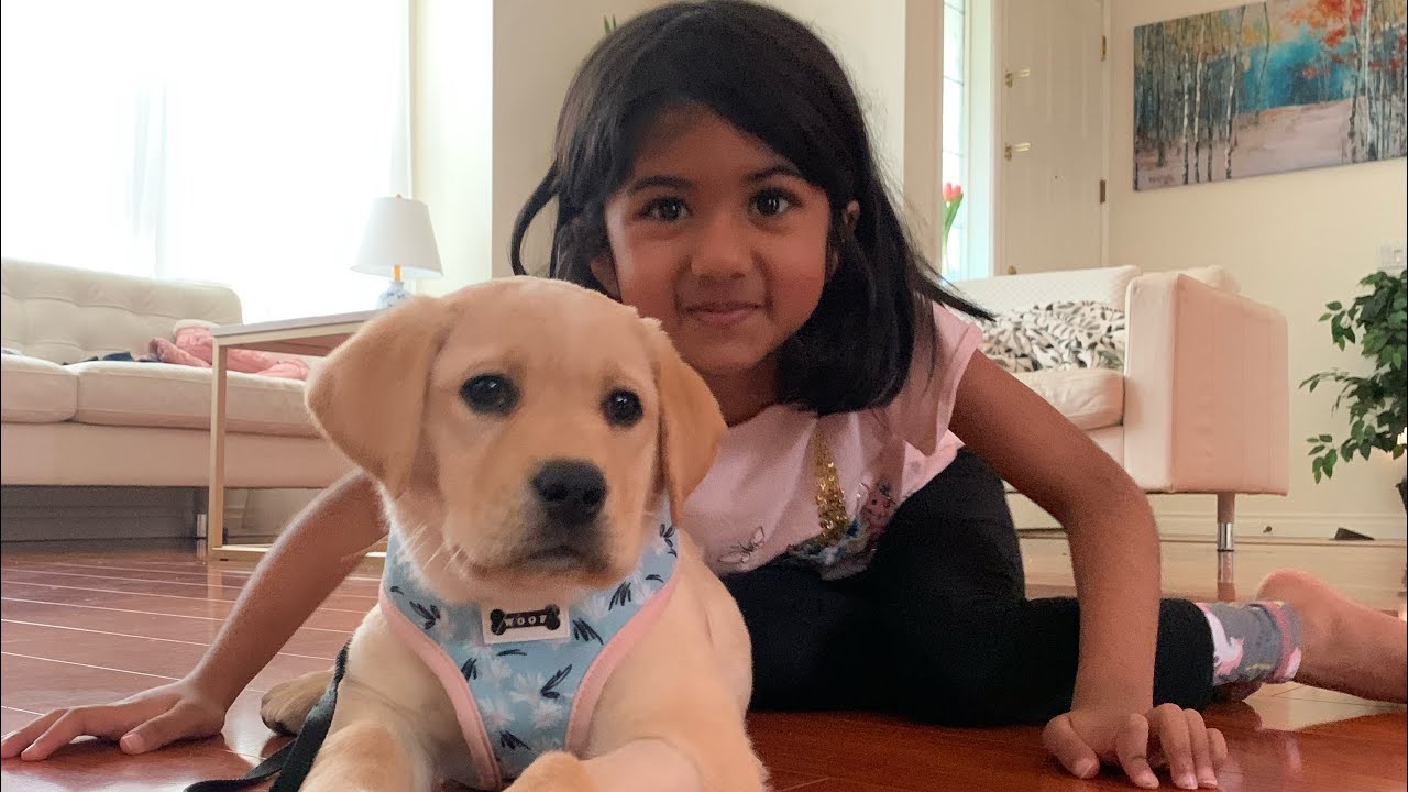 Kids training puppy 🐶 - YouTube