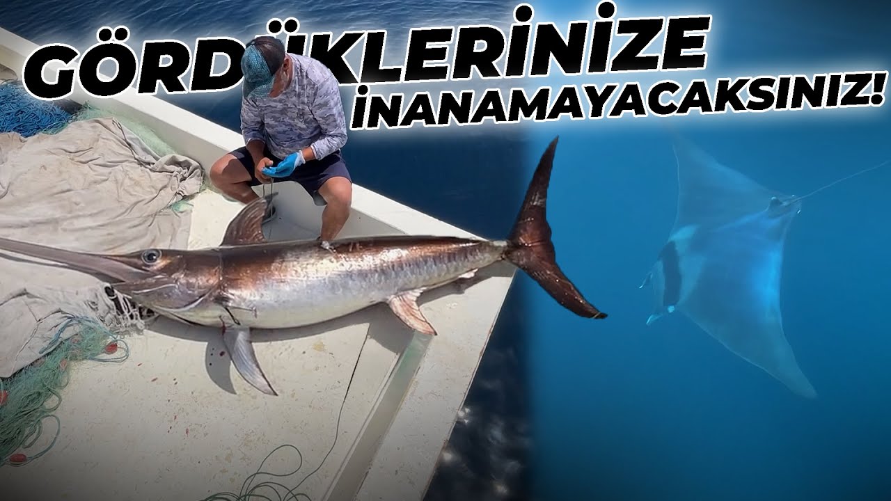 KILIÇ AVINDA İLGİNÇ OLAYLAR! | SUYUN ÜZERİNDE MANTA VATOZU VE AKYA ...