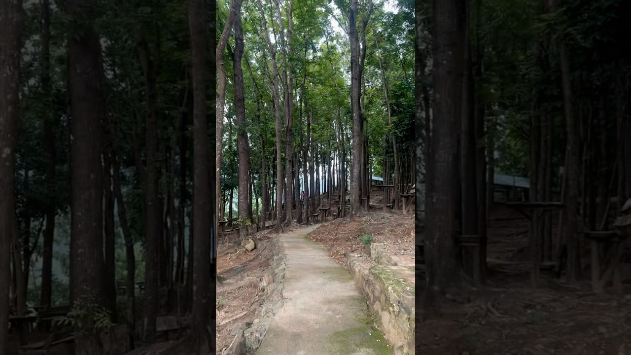 Dreamland Resort and Campsite DRT, Bulacan #bulacan #nature #camping ...