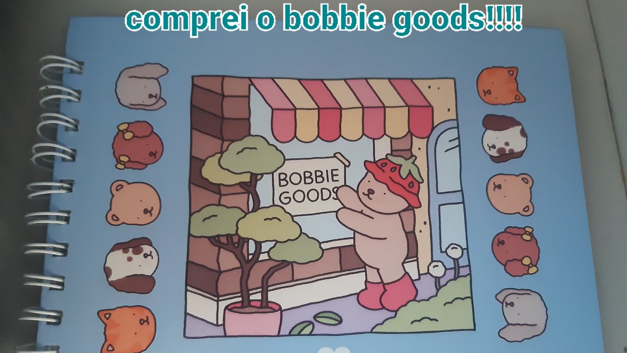 Mostrando a situação do meu novo bobbie goods que eu comprei - YouTube