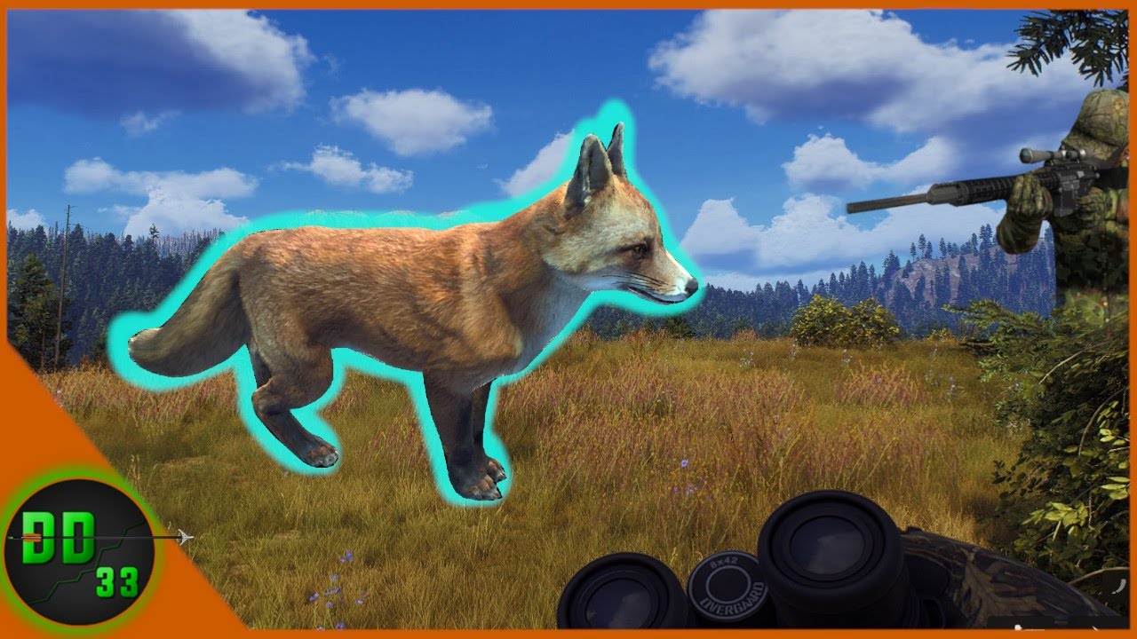 We Hunted The Fox With The 22 Rifle! Way Of The Hunter - YouTube