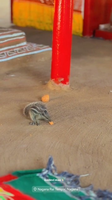 Kuldevi ma🙏 ️ Nagana Rai Temple , Rajasthan 🤗 #lekigoswami #z900 # ...