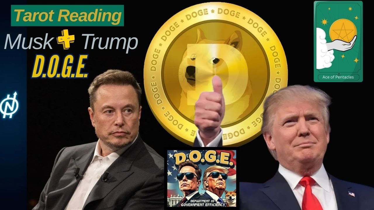 Tarot Reading on Trump + Elon & future of DOGE ! 🔥 Plus XRP Card Pull! Holy 🐮. - YouTube