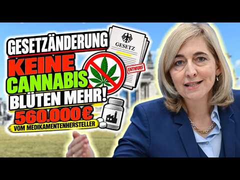 Keine Cannabis Blüten mehr ! Gesetz Änderung Legalisierung