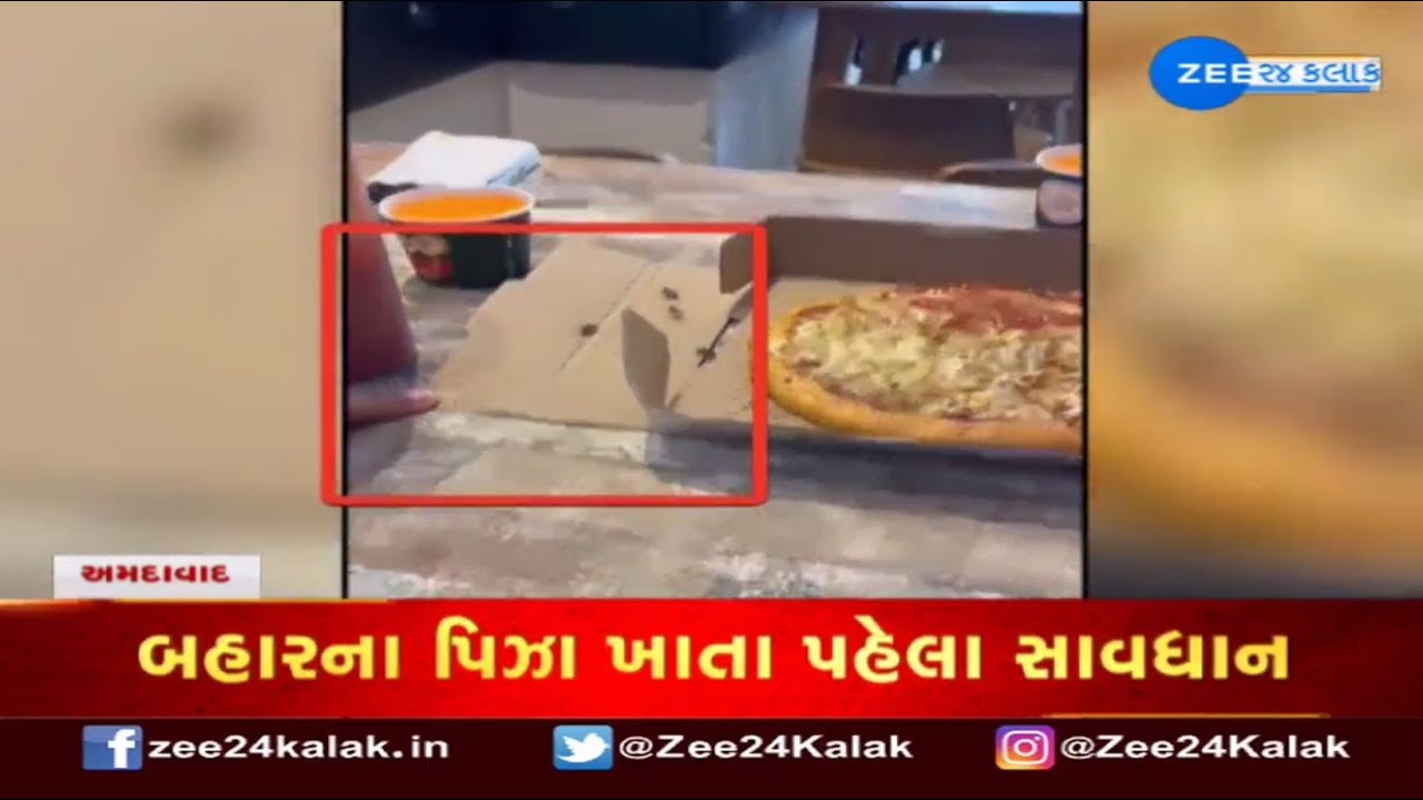 Pizza lovers, be alert! Cockroaches, bugs found from La Pino'z pizza in ...