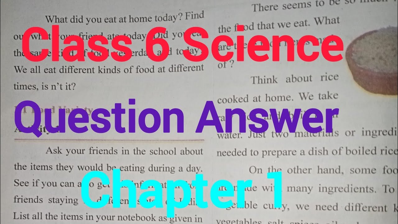 Class 6 Science Chapter 1 Question Answer || Food : Where Does It Come ...