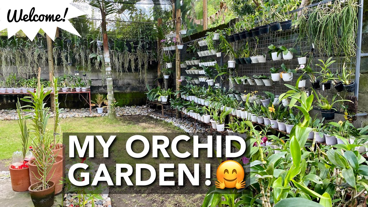 MY NEW OLD ORCHID GARDEN | Outdoor Orchid Garden Tour & Update | My ...