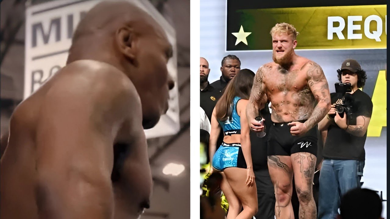 Jake Paul's Blunt Three Word Response To New Mike Tyson Training ...