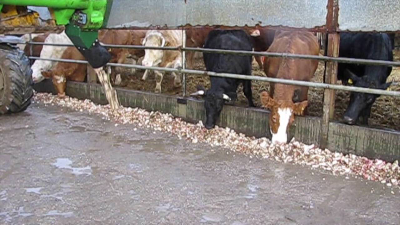 Auger Bucket 1 - YouTube