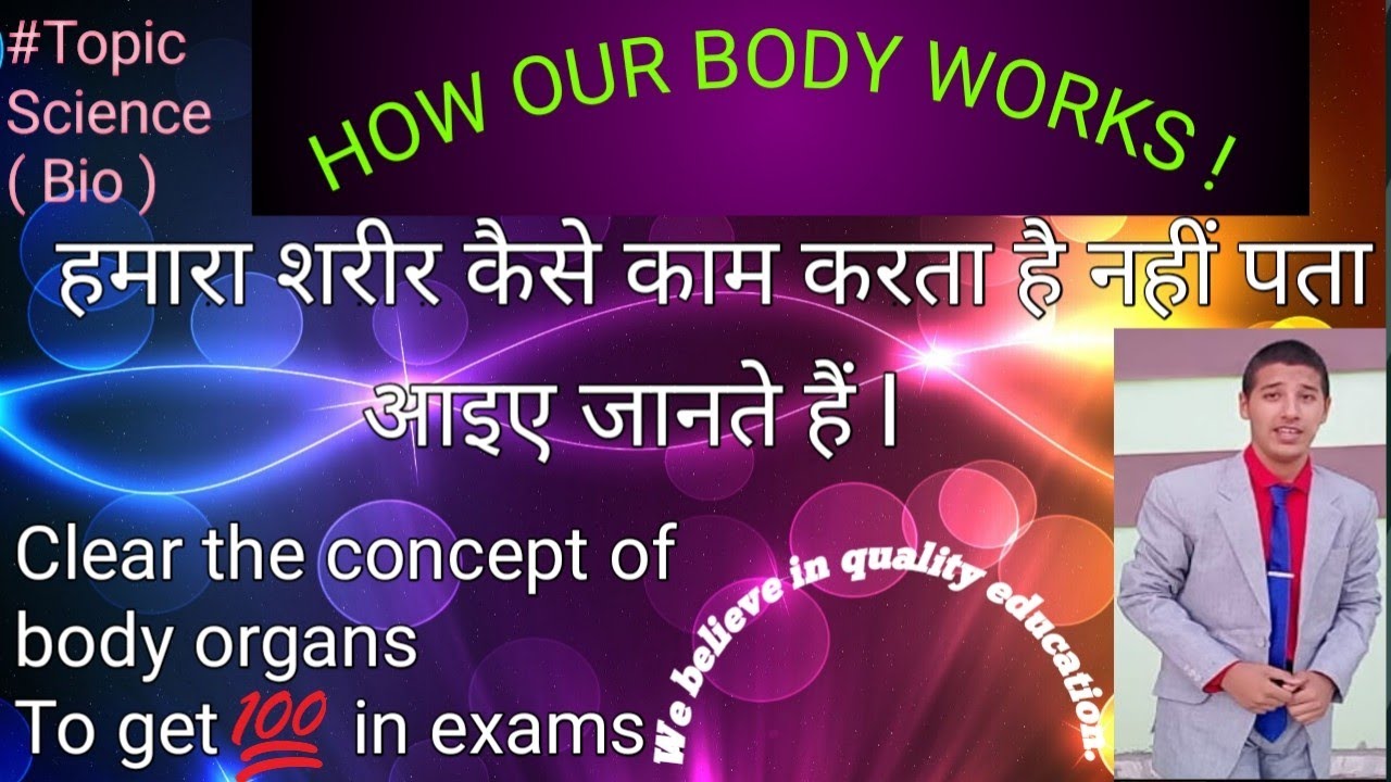 How our body works/ body parts - YouTube