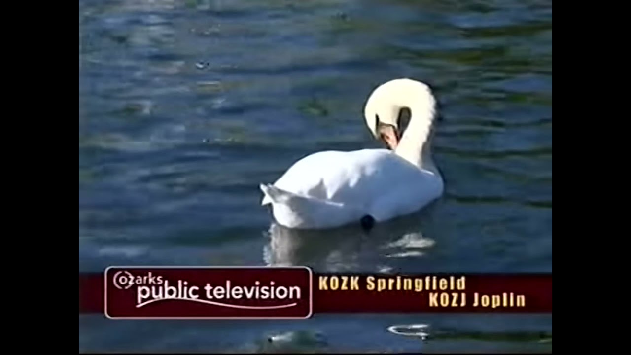PBS Station ID (2009/10, KOZK-DT1) - YouTube