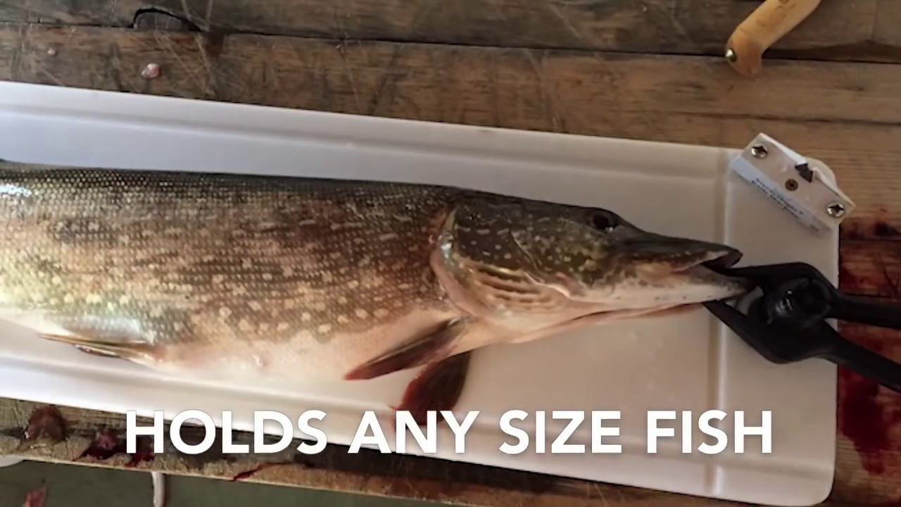 TWO WAY Fillet® Intro Video - YouTube