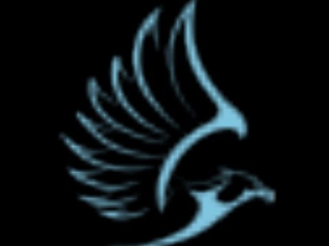 Black Bird Cleaner PRO - YouTube