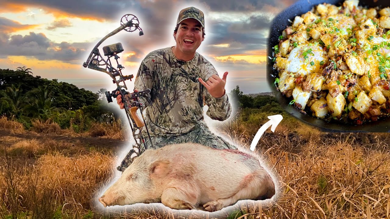 Backyard Hawaii bow hunting for wild pigs (Catch and Cook) - YouTube