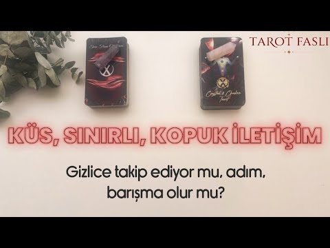 Küs, iletişim yok, sınırlı iletişim ] Seni takip ediyor mu, adım barışma olur mu?/ Tarot, tarot falı