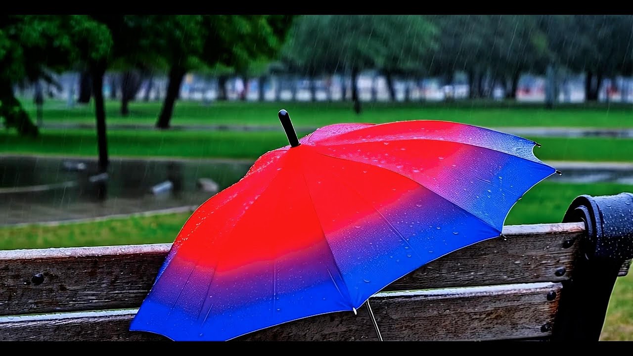 Breathtaking beauty of nature during rain in 4K / Comfy Vibe # ...