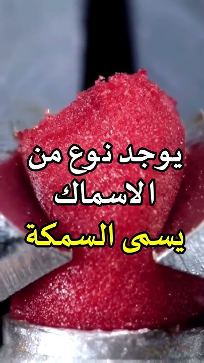 الحقائق الغريبة والعشوائية معلومات لا تصدق Shorts Shortvideo Youtube