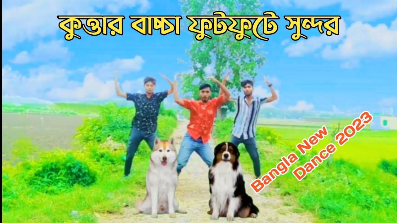কুত্তার বাচ্চা | Kuttar Baccha | Official Song | Dm Shakib dancer ...