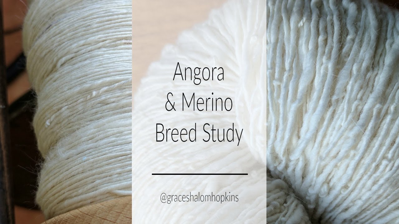 Angora and Merino Breed Study Singles Spin - YouTube