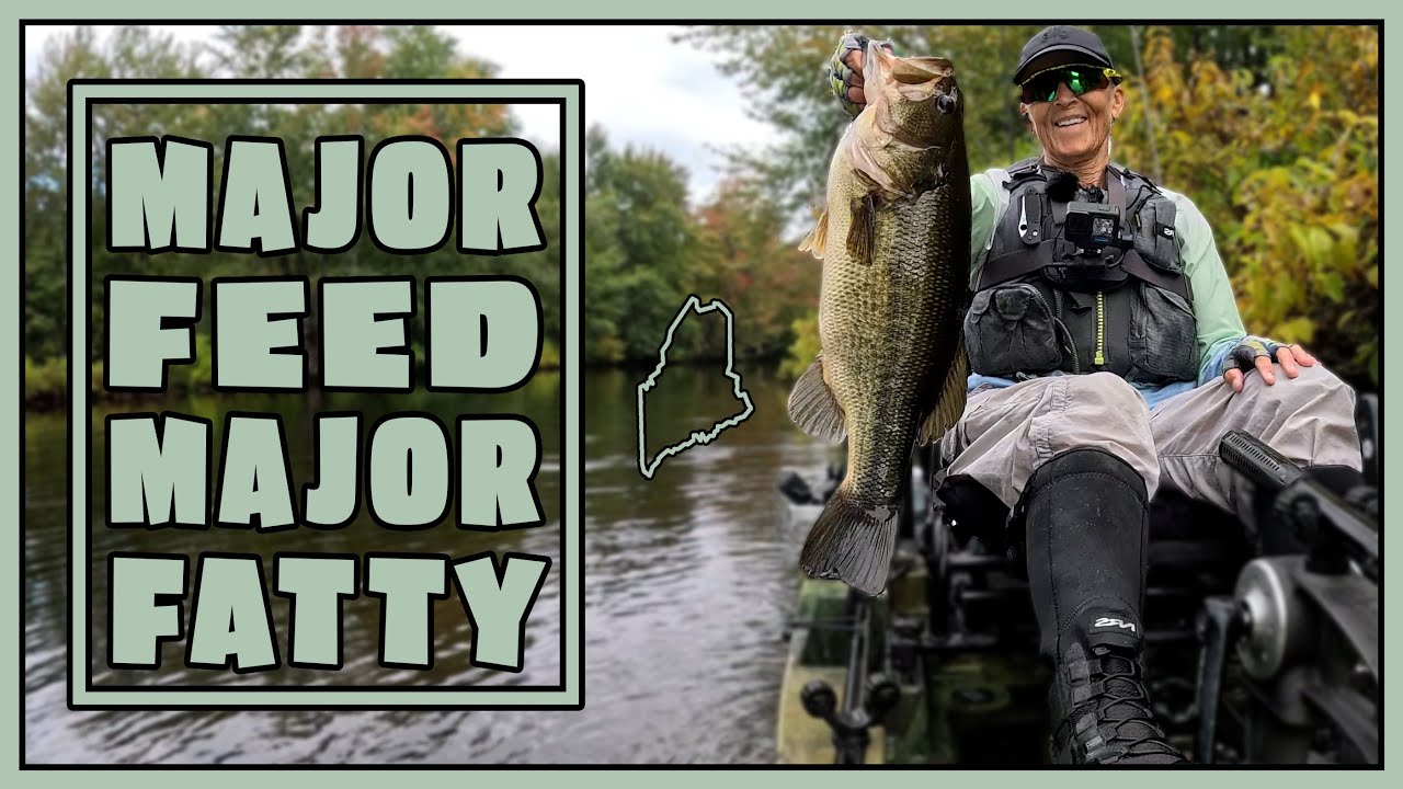 Major Feed Major FATTY - 9/27/24 - YouTube