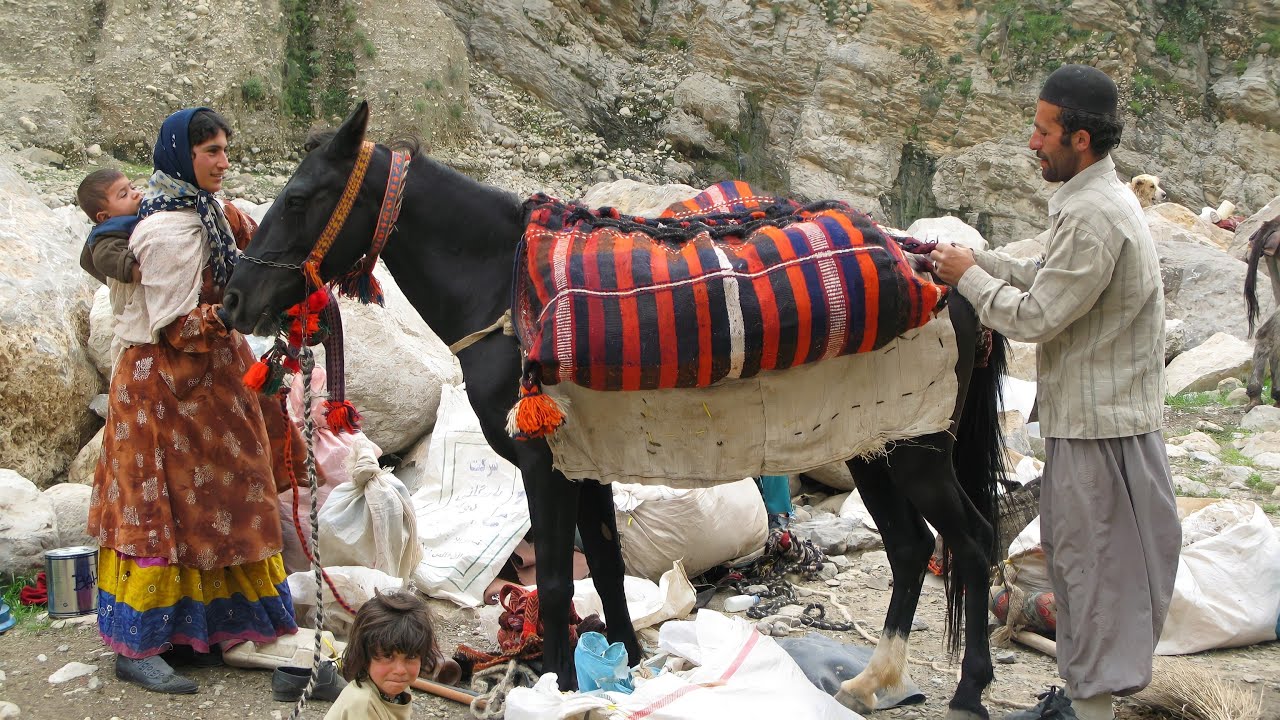 nomadic lifestyle | nomadic people life in IRAN | routine nomads life ...
