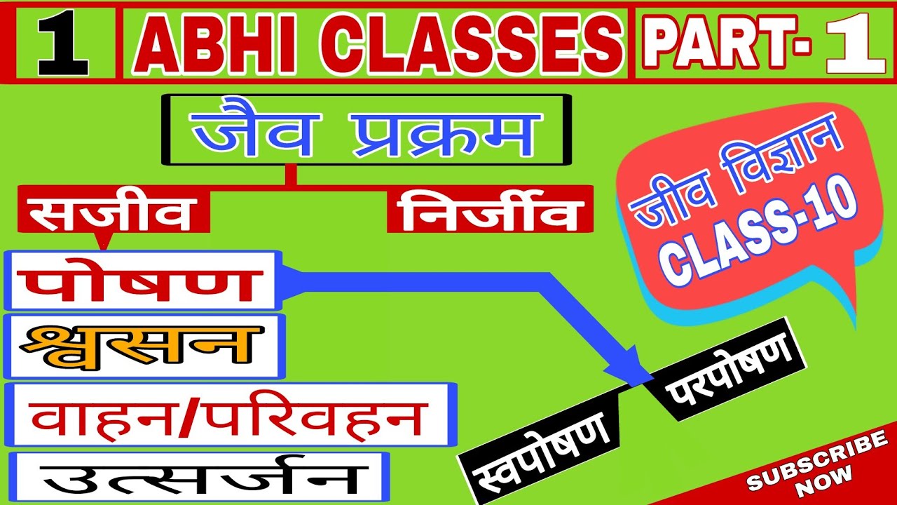 जैव प्रक्रम||Abhi classes007|1|Abhi classes||Class 10 chapter 6 in hindi||amoeba - YouTube