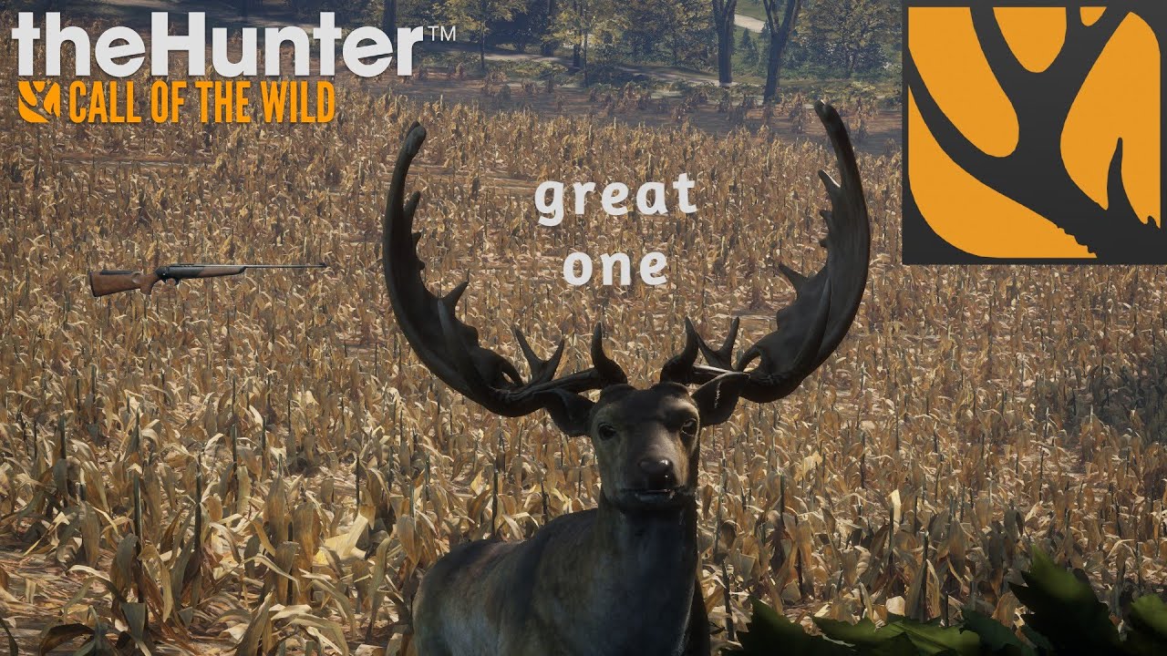 fallow deer great one grind - YouTube