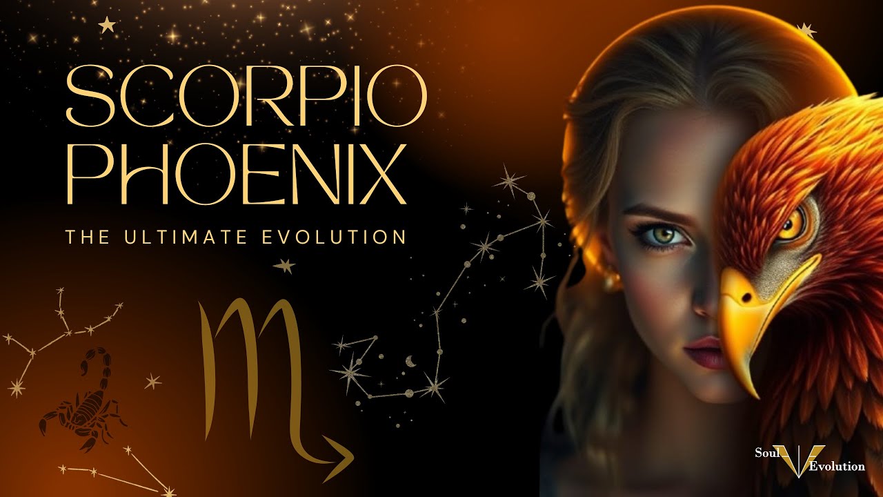 SCORPIO EVOLUTION: Three Stages of Scorpio Transformation (Scorpion ...