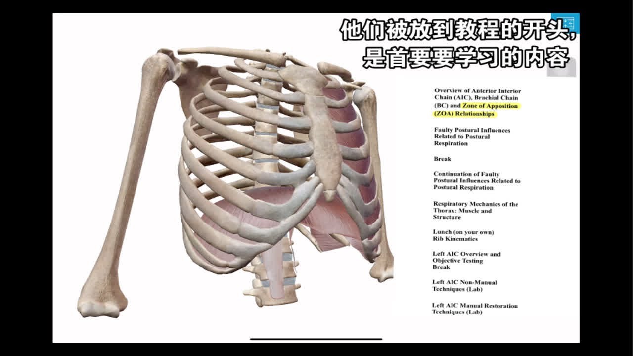 pri中的重要概念:ZOA - YouTube