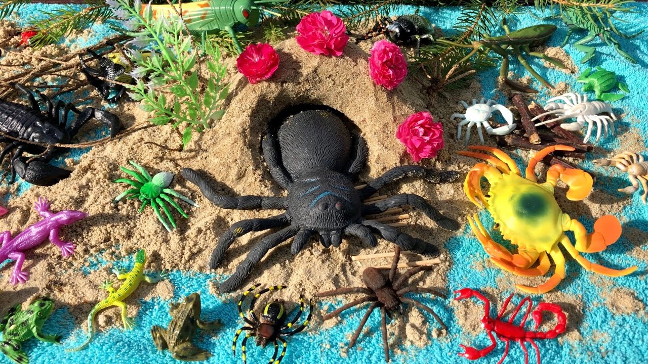 Zuru Robo Alive | Robotic Crawling Spider and Cockroach | Look at these ...