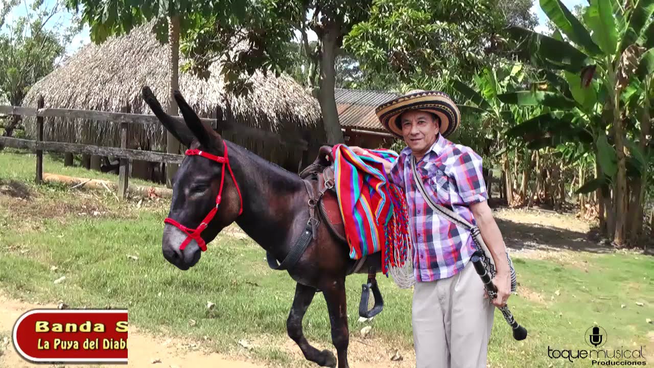 La Puya del Diablo , Banda San Martel Director Carlos Julio Martelo ...