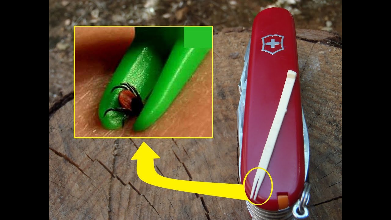 Brilliant Mod:Swiss Army Knife Tick Remover Tool.Εργαλειο Αφαιρεσης ...