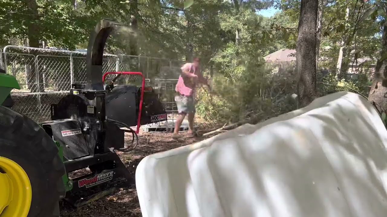 Chipping Oak Limbs for the New Pig Pen: Mangalitsa Pigs Love Them ...