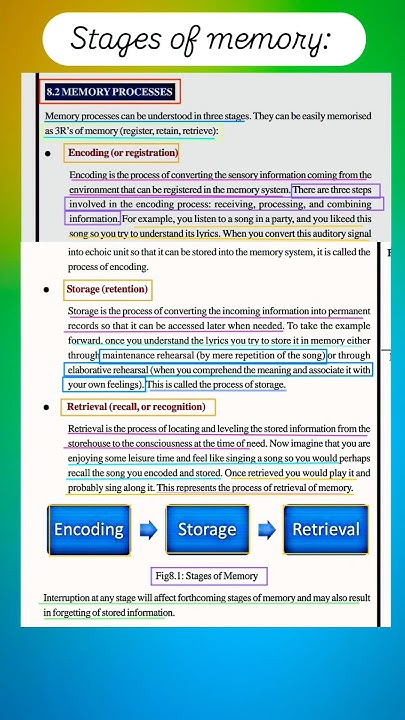 Memory|Stages of Memory(Encoding,Storage & Retrieval)#cdp#pedagogy# ...