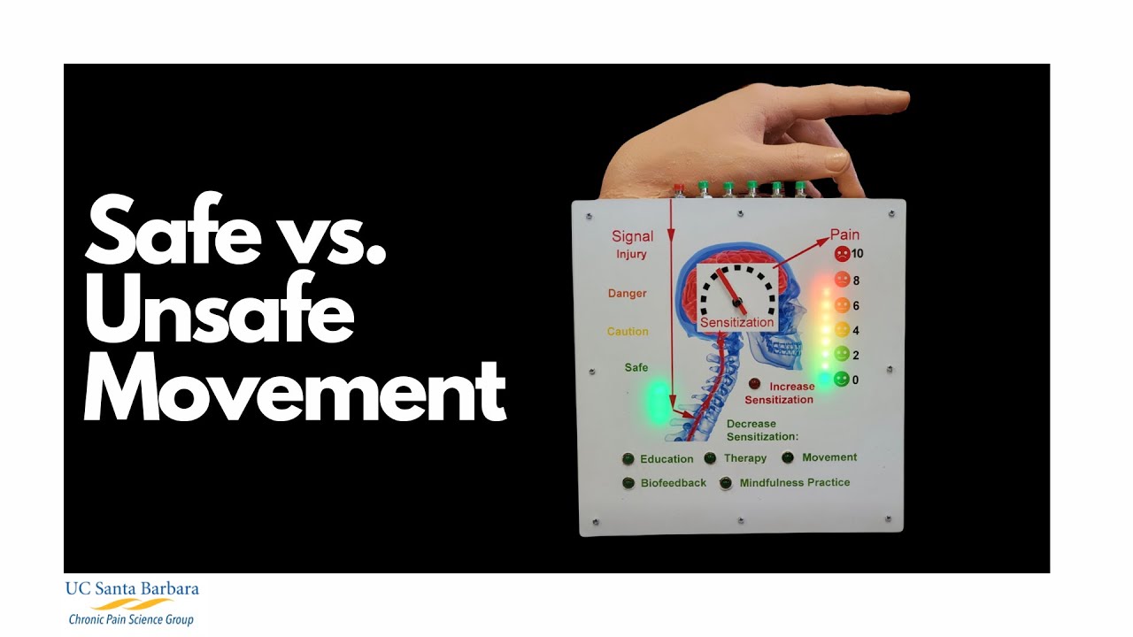 Understanding How to Move Safely is a Key to Overcoming Chronic Pain ...